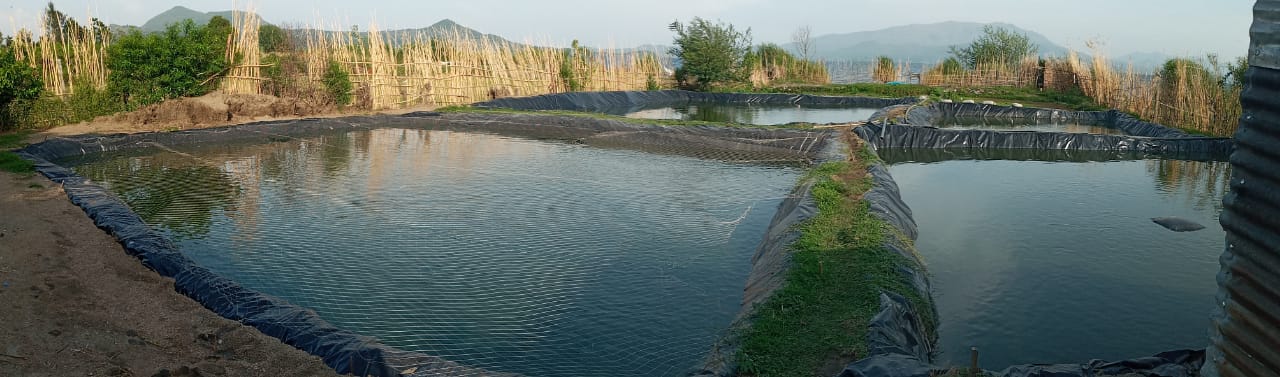 Fish Farming – Food Safety – Victoria Community Project