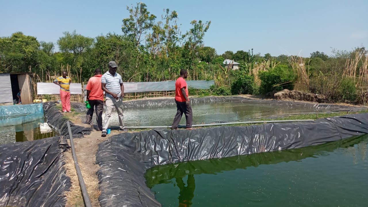 Projects – Victoria Community Project